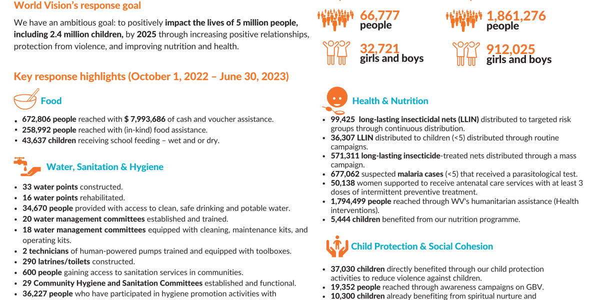 Central African Republic (CAR) Response SitRep #1025 - 30 June 2023 | Central African Republic ...